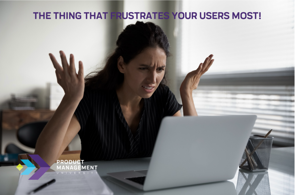 Product Usability and Frustrated Users | PMU